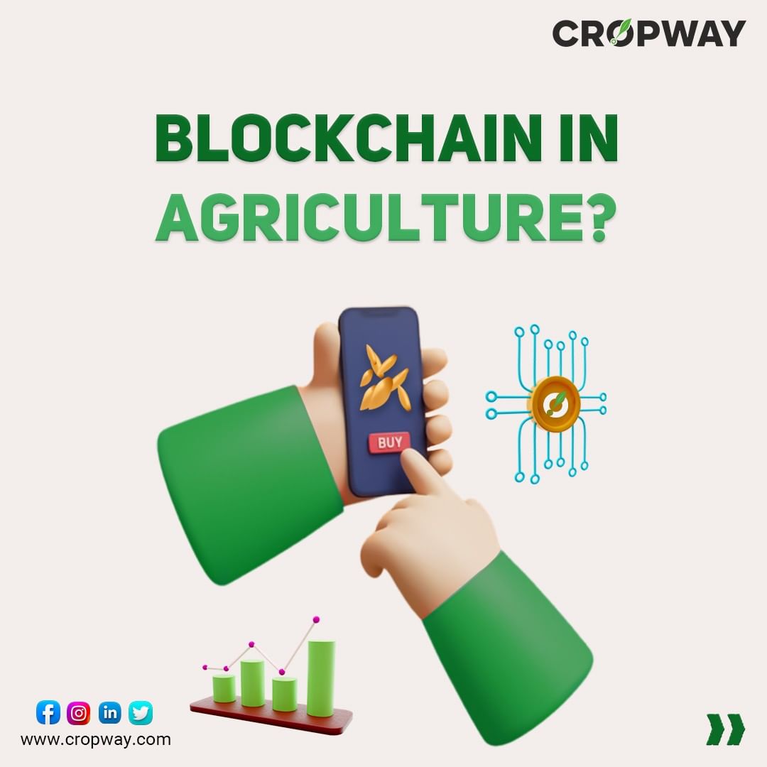Blockchain in agriculture - CROPWAY Blockchain in agriculture - CROPWAY