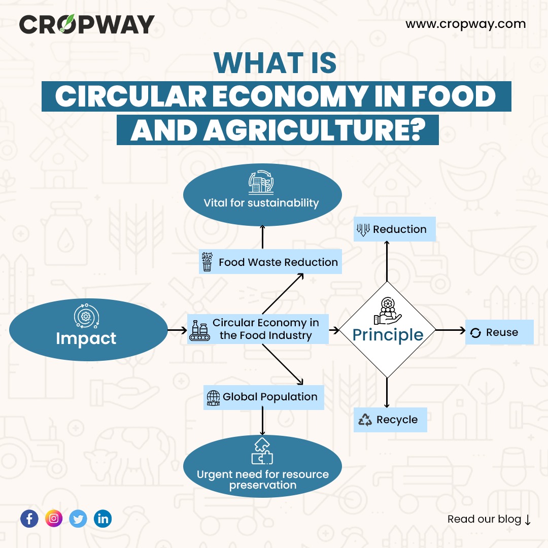 What Is Circular Economy In Food And Agriculture? - CROPWAY 2025