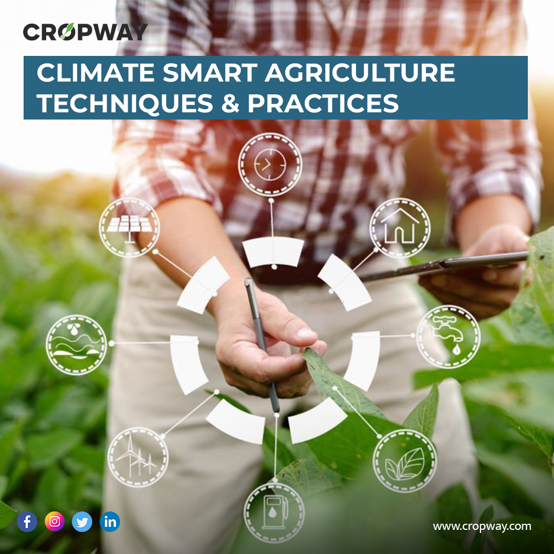 Decoding Climate-Smart Agriculture: Cultivating a Sustainable Future ...