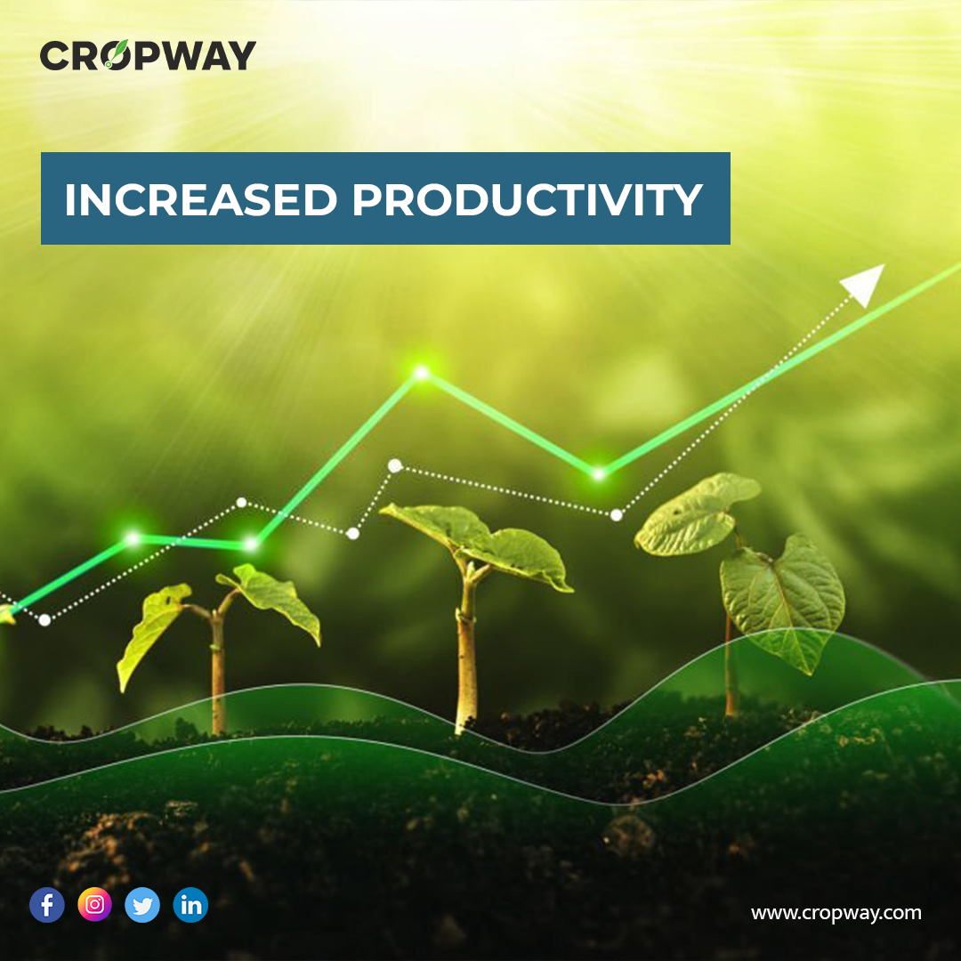 Decoding Climate-Smart Agriculture: Cultivating a Sustainable Future ...