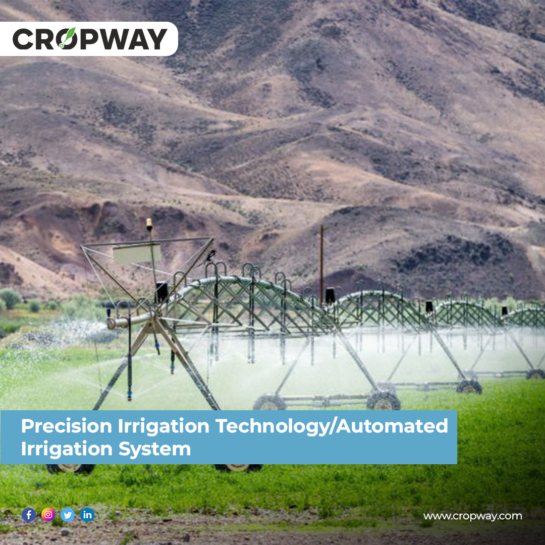 Smart Irrigation Key Trends: Innovative Growth Drivers 2023 - CROPWAY 2025