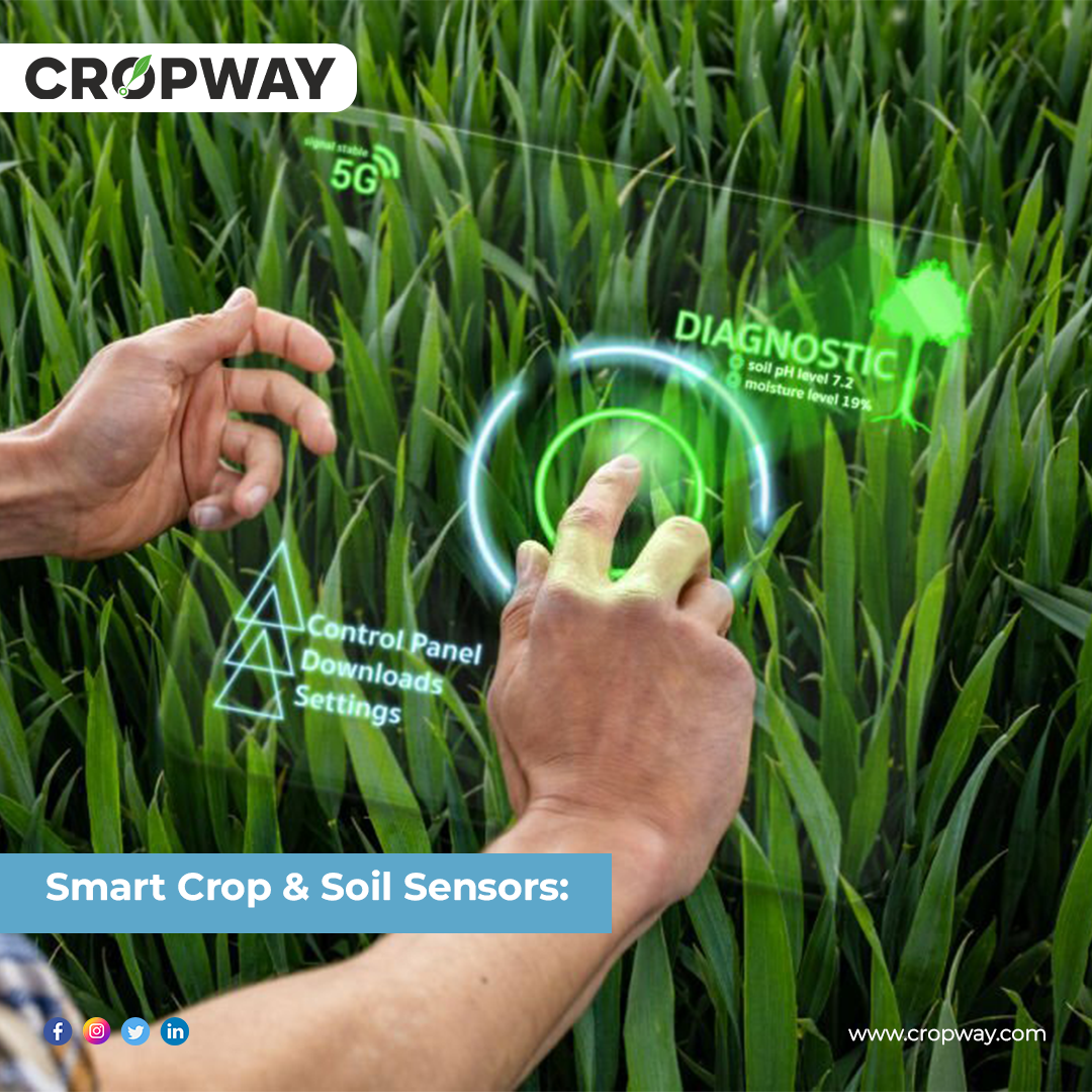 Smart Irrigation Key Trends: Innovative Growth Drivers 2023 - CROPWAY 2025