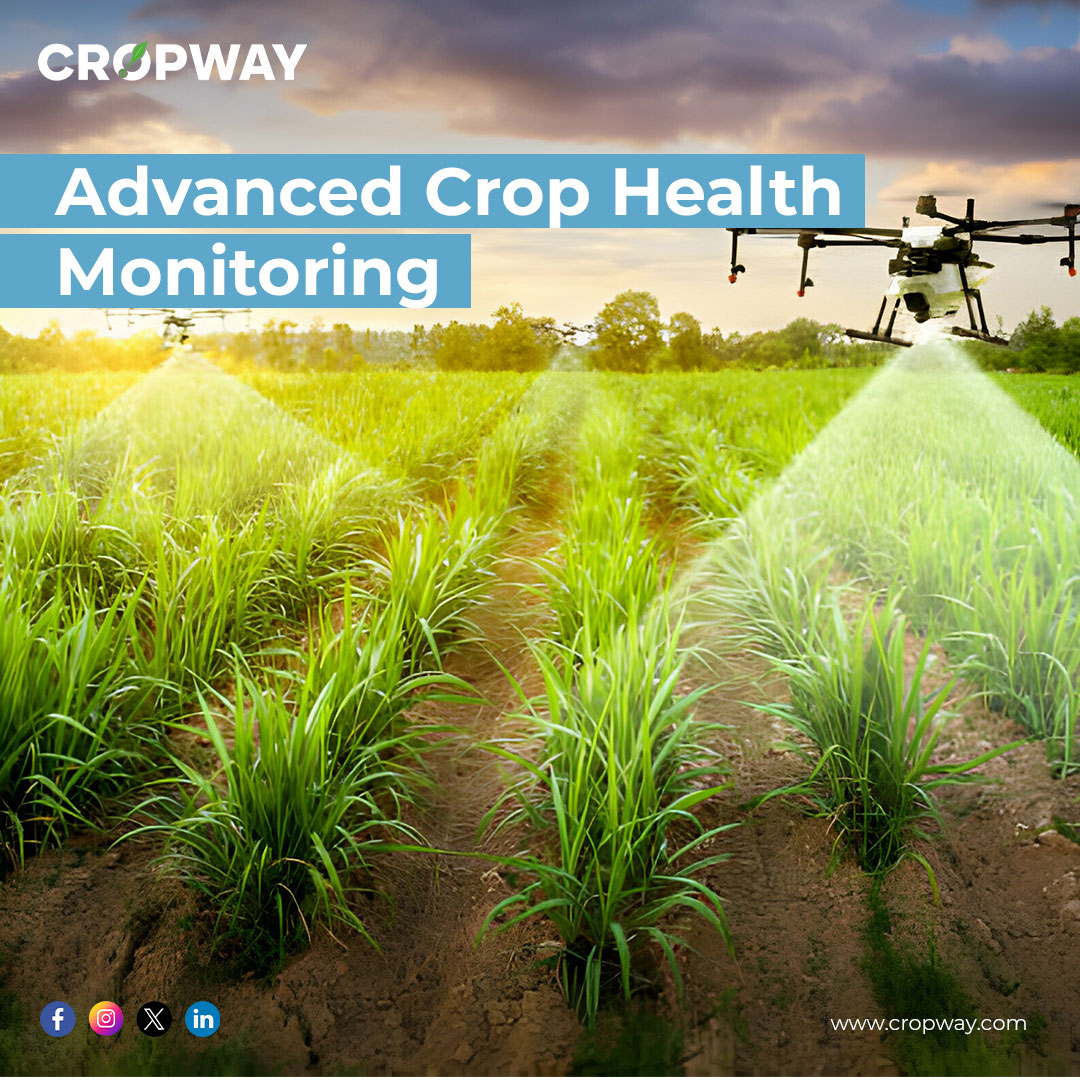 Drones in Farming: Top 7 Advantages of Implementation - CROPWAY 2025