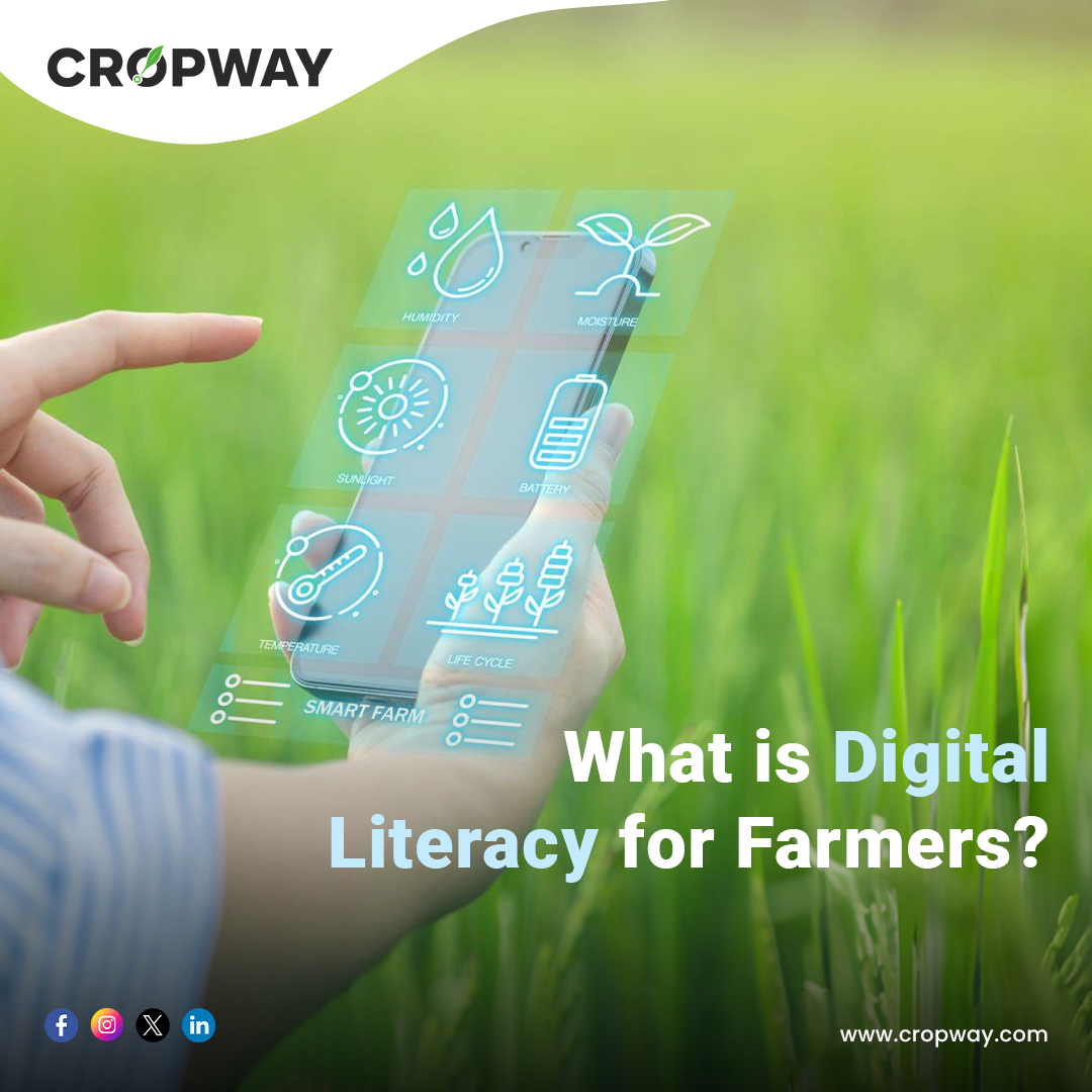 The Importance of Digital Literacy for Farmers - CROPWAY 2025