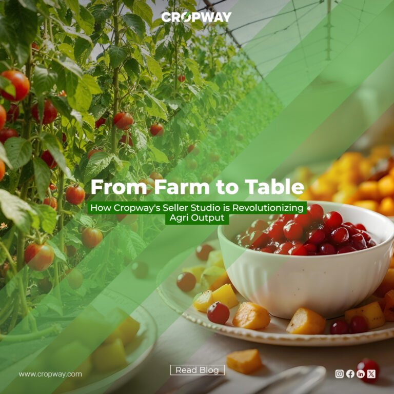 Major Crops Grown in Dryland Farming: Importance and Techniques ...