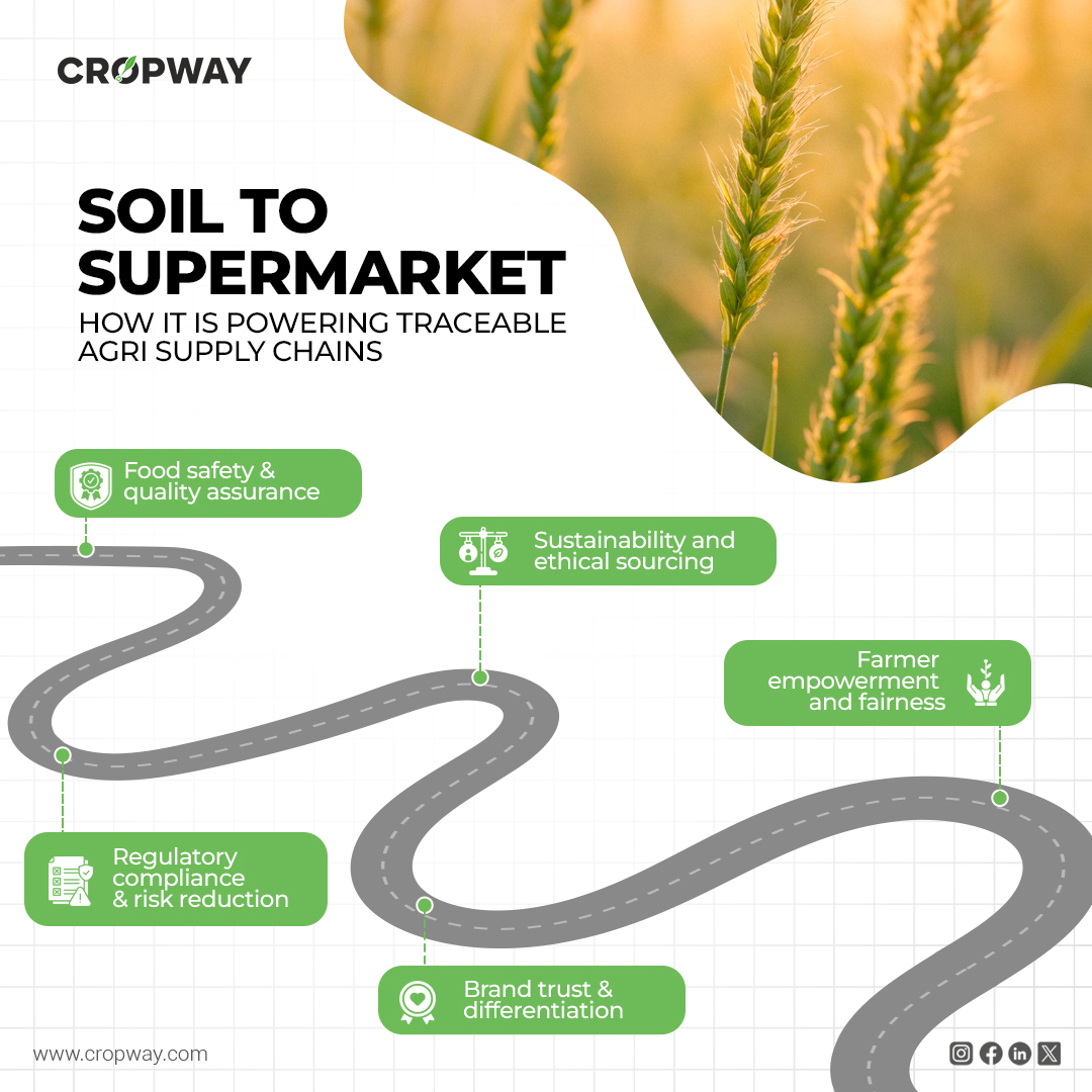 Blockchain From Soil to Supermarket: How It Is Powering Traceable Agri ...