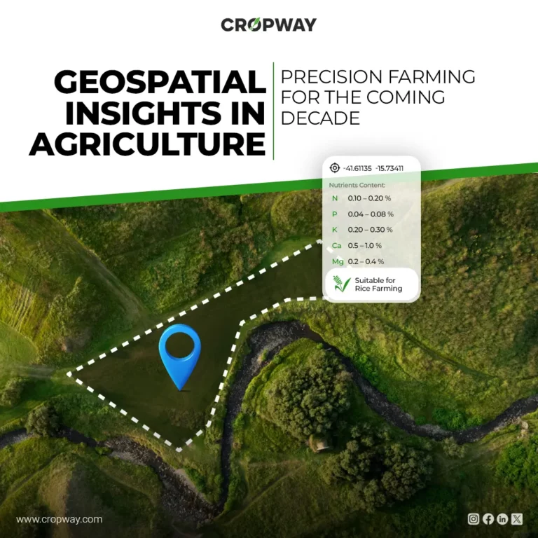 Agriculture and Satellite Data: A Practical Guide for Farmers - CROPWAY 2026